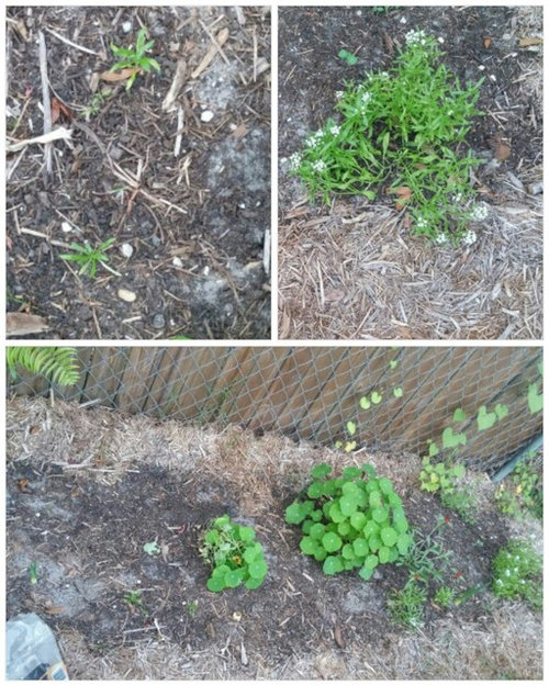 Wow, talk about lop sided!