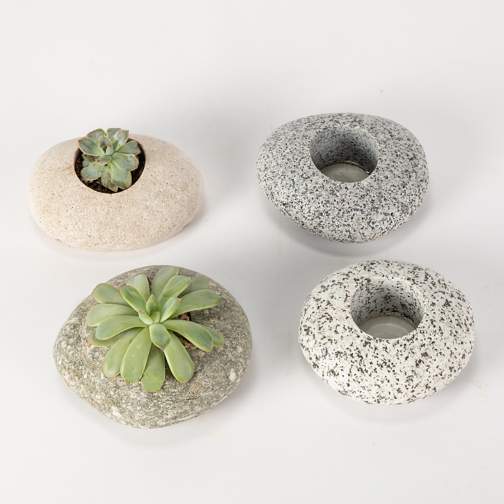 Stone Succulent Planter - Rustic - Outdoor Pots And Planters - by Funky ...