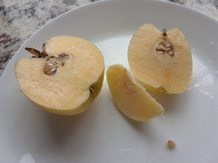 Crimea quince fruit review | Houzz Forum