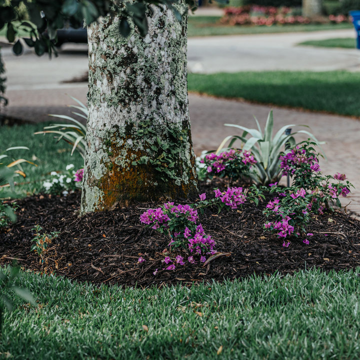 75 Mulch Flower Bed Ideas You'll Love - October, 2025 | Houzz