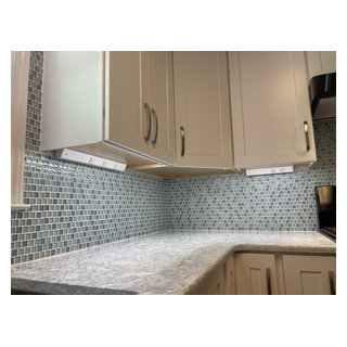 Transitional Kitchen Remodel Done in a Polar White Shaker Door ...