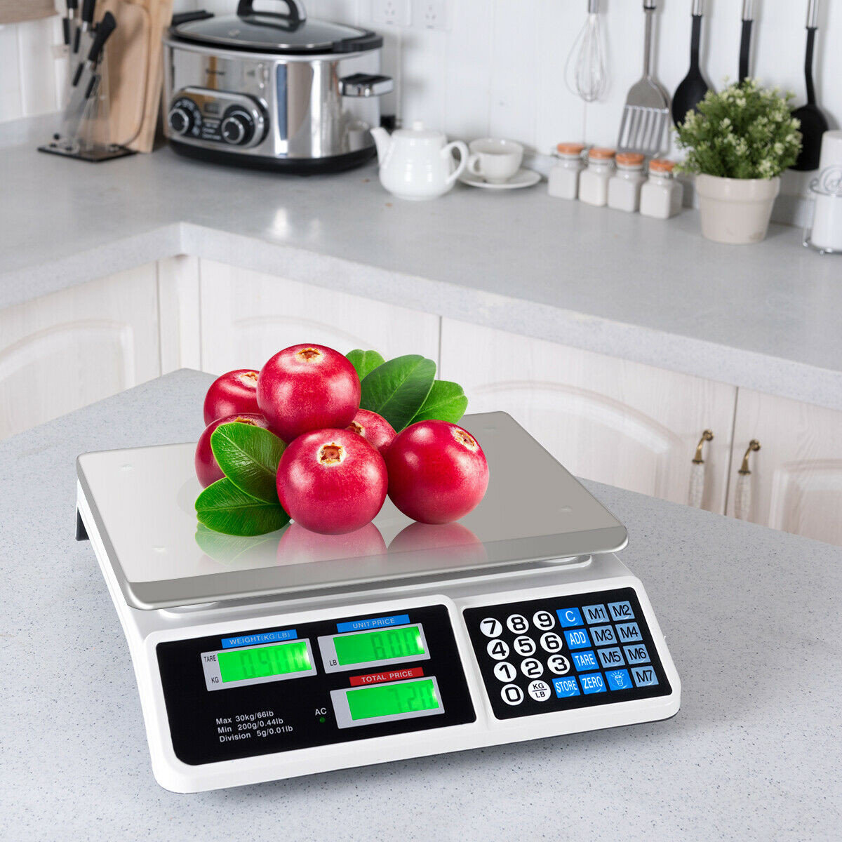 66Lbs Digital Weight Scale Price Computing Retail Count Scale Food Meat ...