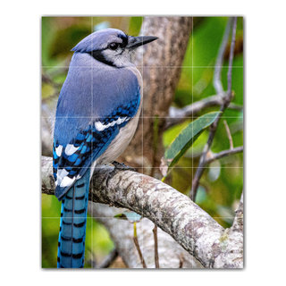 Bird Ceramic Tile Wall Mural HZ500208, 24" Wide x 30" High ...