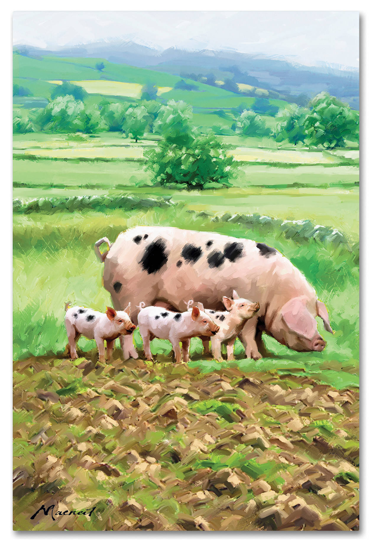 The Macneil Studio 'Pig and Piglets' Canvas Art, 32"x22" - Farmhouse ...