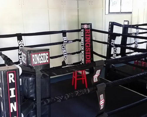 Best Boxing Ring Design Ideas & Remodel Pictures | Houzz