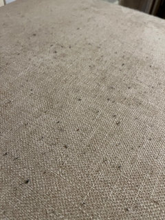 Has anyone had any experience with the Pottery Barn Performance fabric