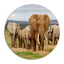 Elephant Herd In Africa, African Disc Metal Artwork Print, Disc of 36 ...