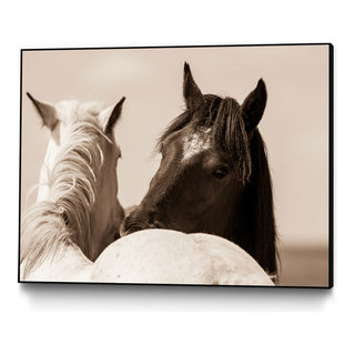 "Nuzzles" Art block Framed Canvas, 28"x22" - Contemporary - Prints And ...