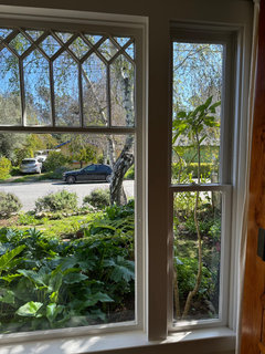 Mulled vs separate windows, which is best?