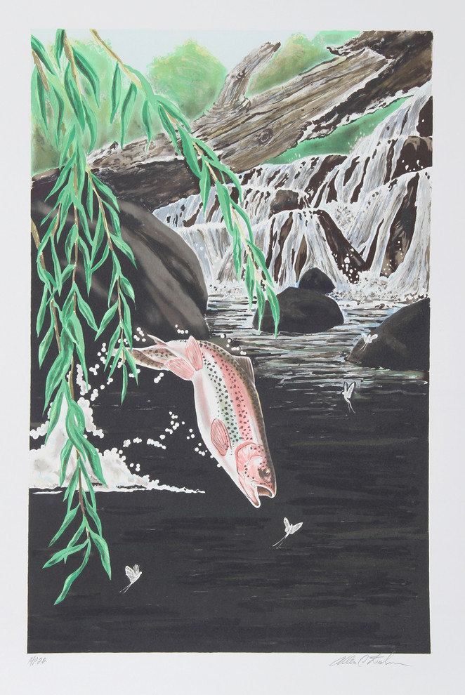 Allen Friedman "Rainbow Trout" Lithograph - Contemporary - Fine Art ...