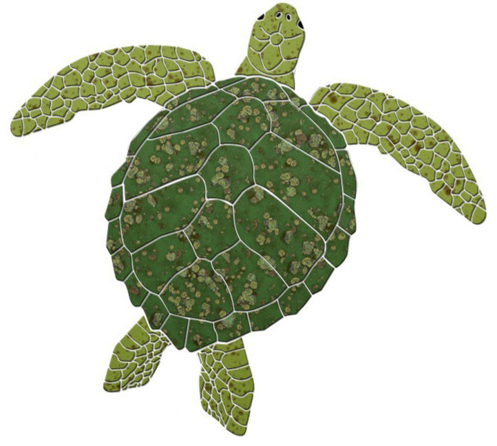 Sea Turtle 2 Ceramic Swimming Pool Mosaic, 36"x33" - Beach Style ...