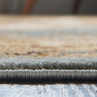 Traditional Royale Sky Area Rug, 4' Square - Victorian - Area Rugs - by ...
