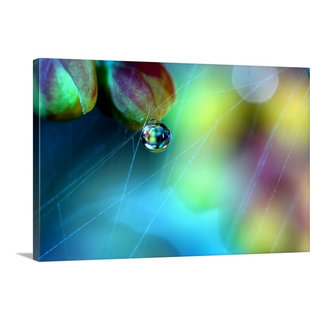 "Rainbow Web" Wrapped Canvas Art Print, 30"x20"x1.5", 30"x20 ...