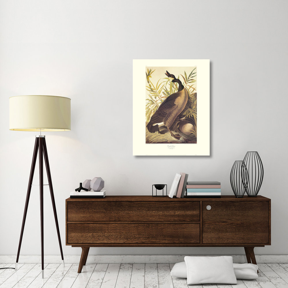 "Canada Goose (decorative border)" Paper Art, 34"x42" - Farmhouse ...