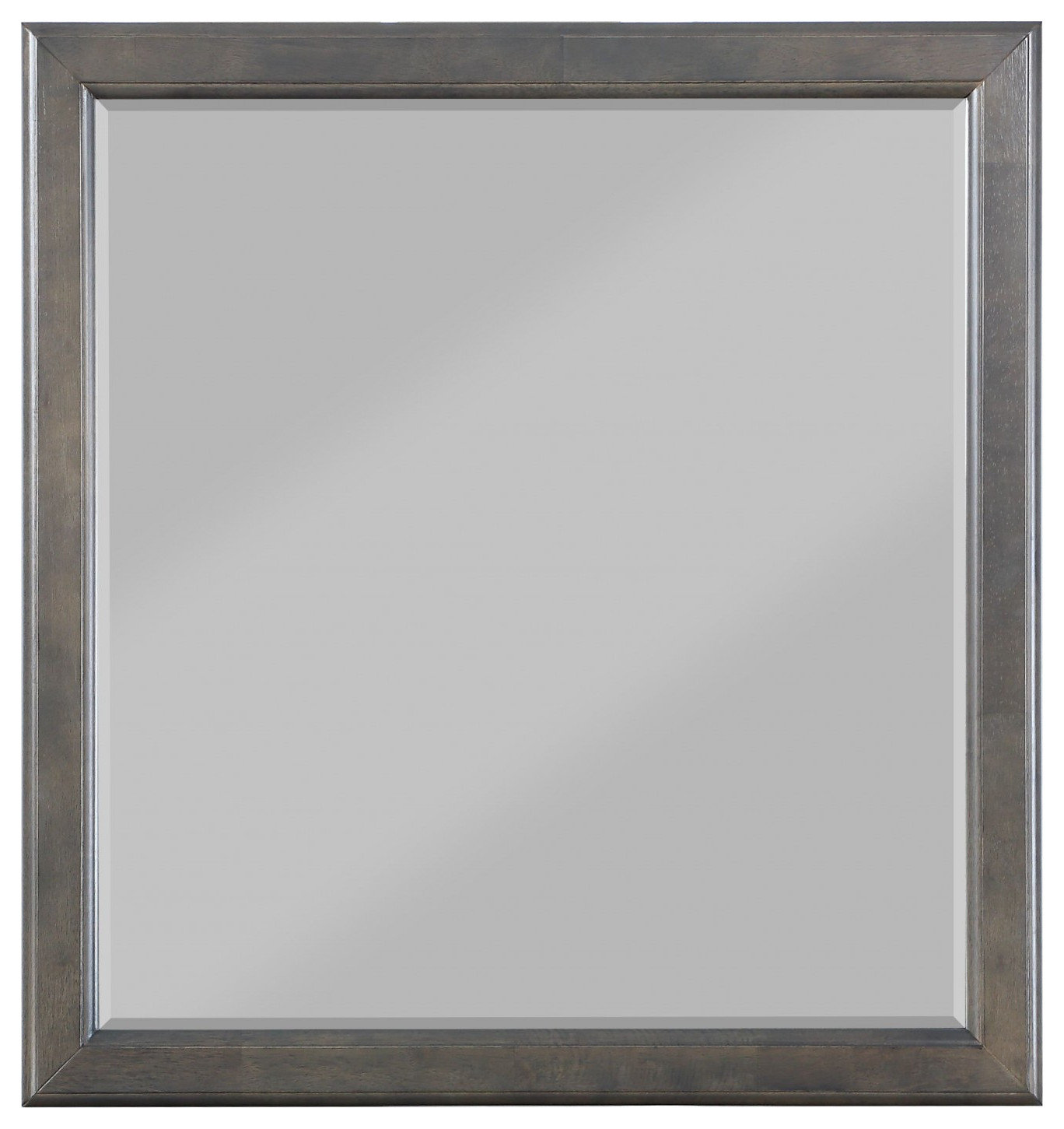 HomeRoots Classic Gray Wooden Mirror - Transitional - Wall Mirrors - by ...