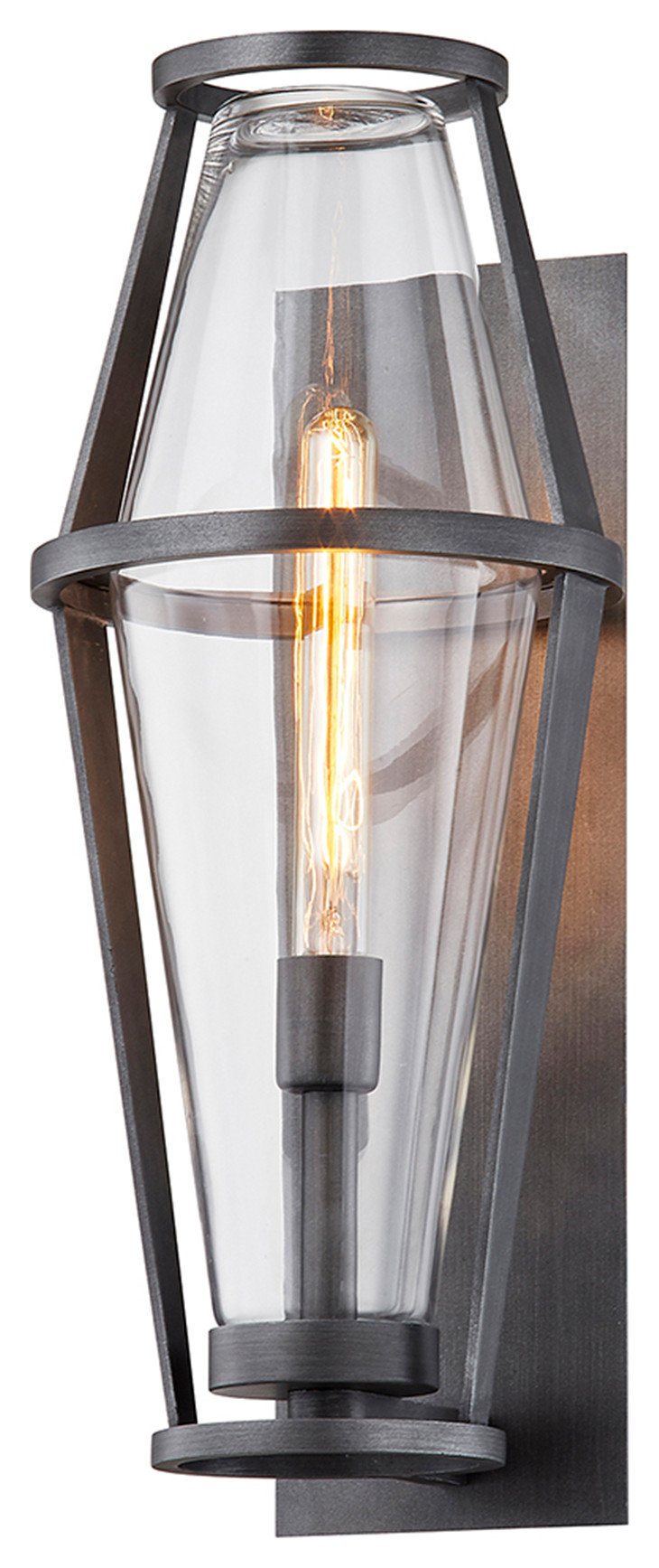 Prospect 1 Light 21.5" Wall Sconce - Graphite Finish - Clear Glass ...