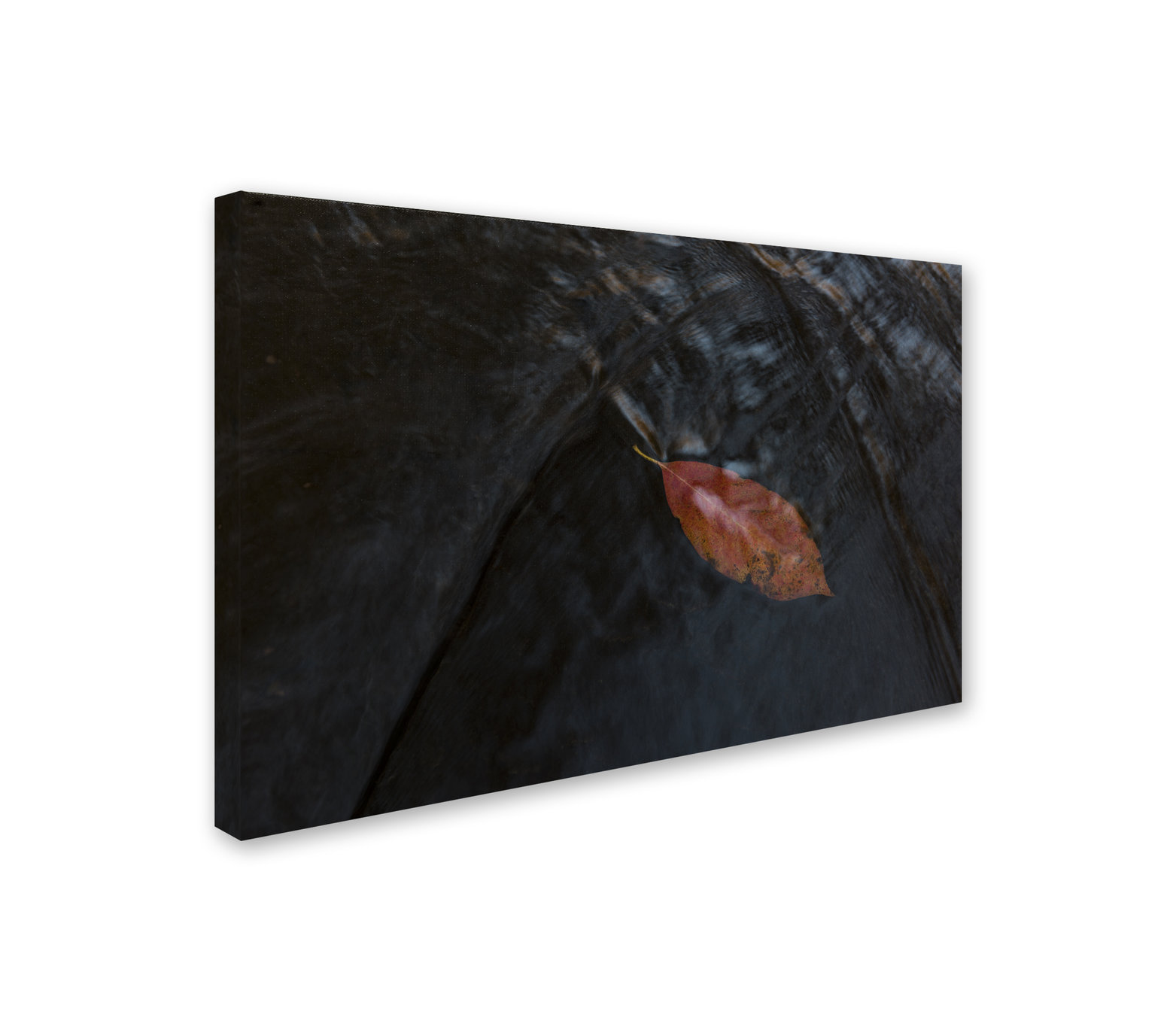 Kurt Shaffer 'A Leaf in the Stream' Canvas Art, 47"x30" - Contemporary ...