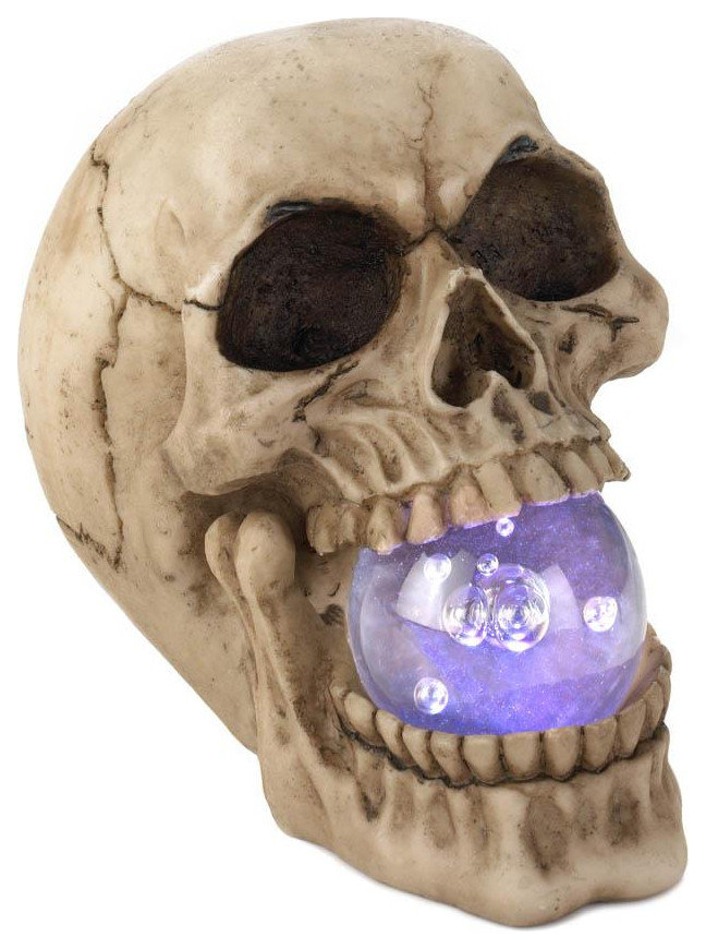 Skull With Light-Up Orb - Contemporary - Novelty Lighting - by ...