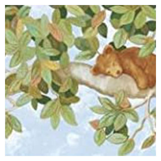 Wallpaper Border Bear Blue White Yellow Green Navy 18"x15' - Farmhouse ...