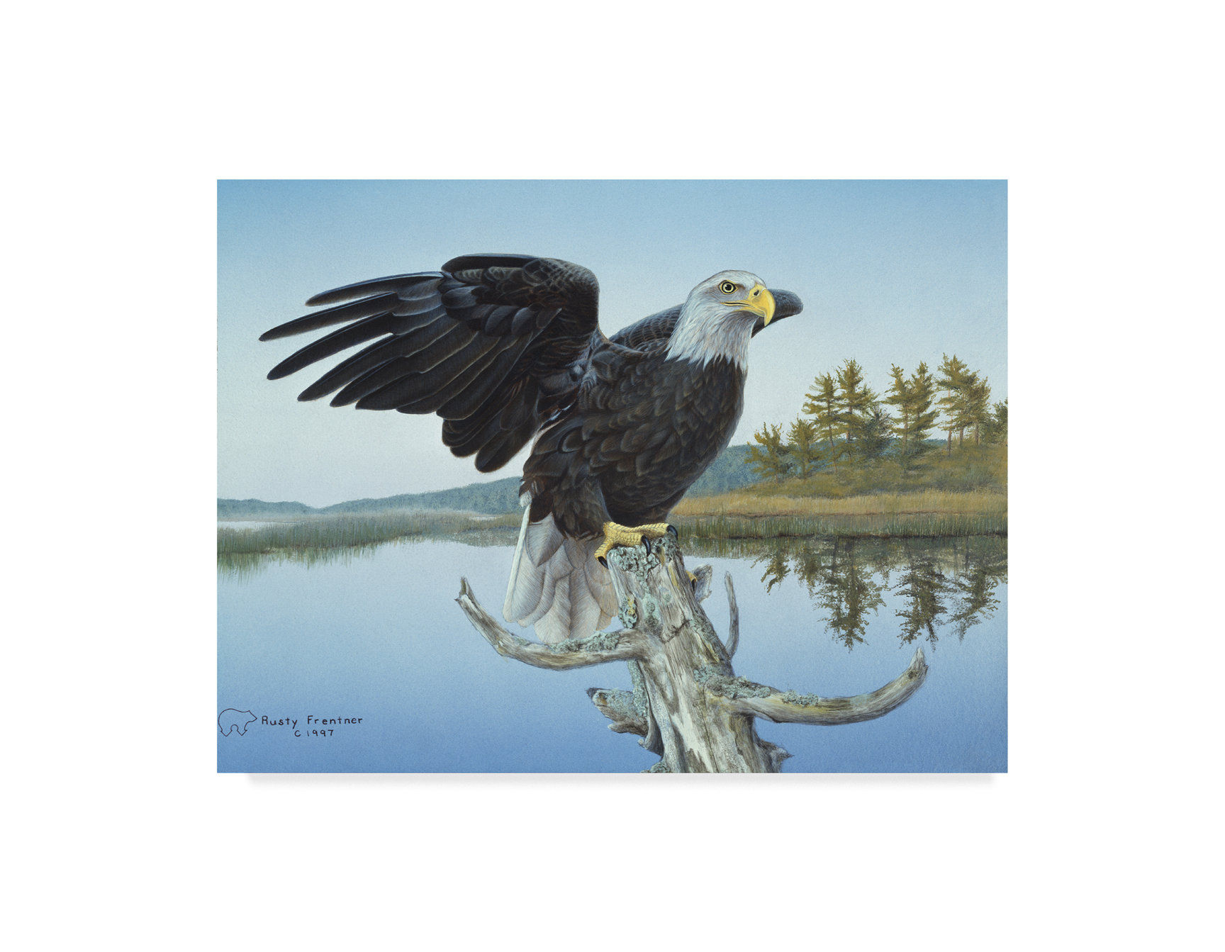 Rusty Frentner 'Morning Glory' Canvas Art, 32"x24" - Rustic - Prints ...