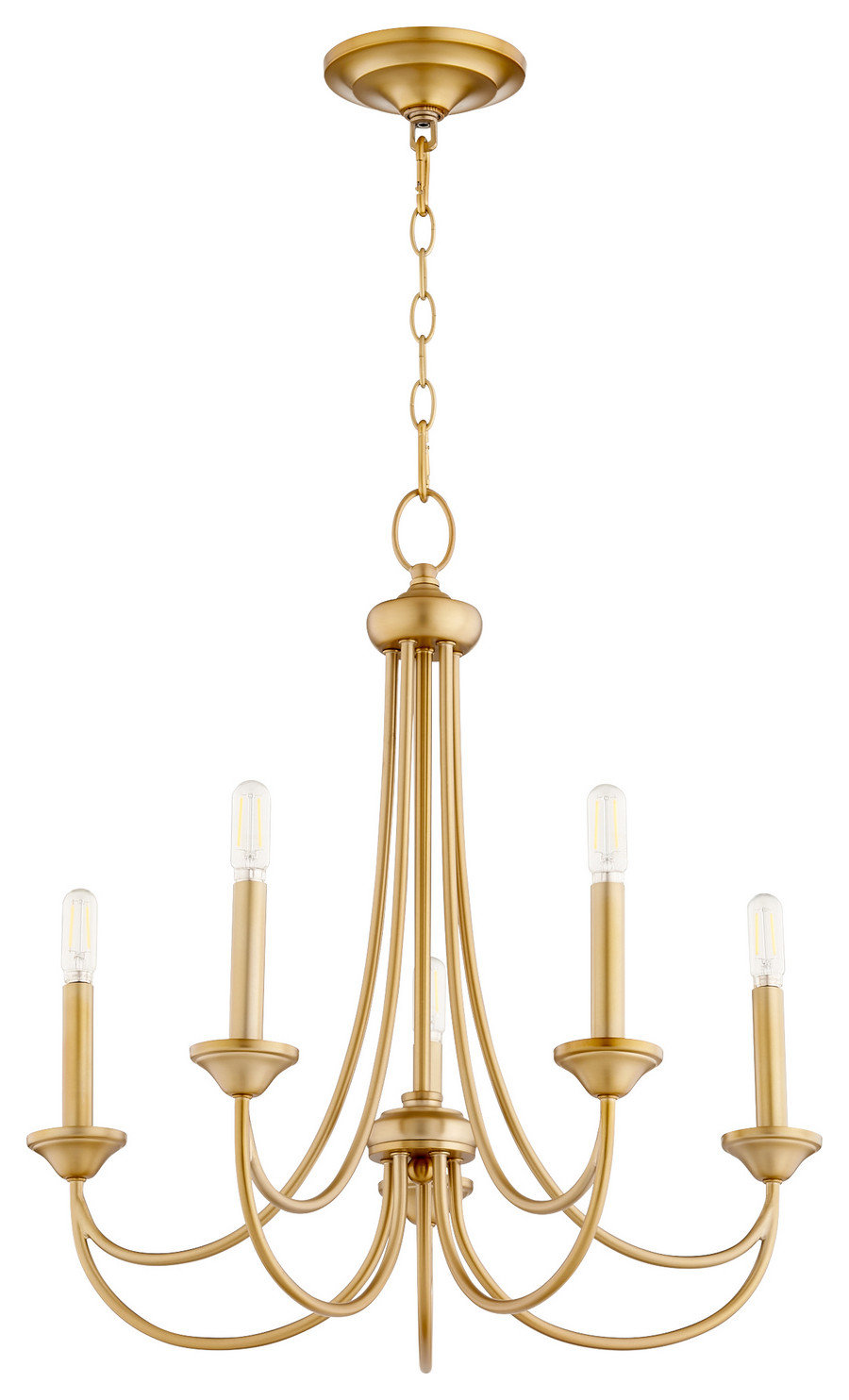 Brooks Transitional Chandelier, Aged Brass - Transitional - Chandeliers ...