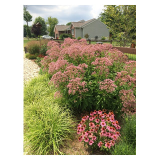 New Build Pollinator Front Yard - Landscape - Cincinnati - by Our Land ...