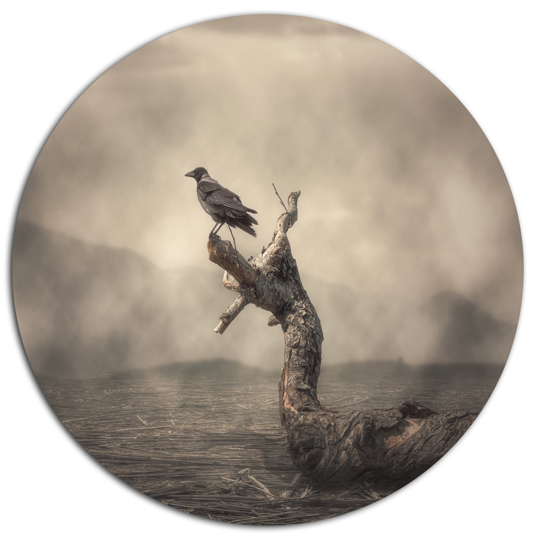 Crow Perching on Tree, Animal Round Metal Wall Art, Disc of 36 inch ...