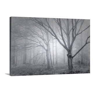 "Backwoods Mist" Wrapped Canvas Art Print, 48"x32" - Rustic - Prints ...