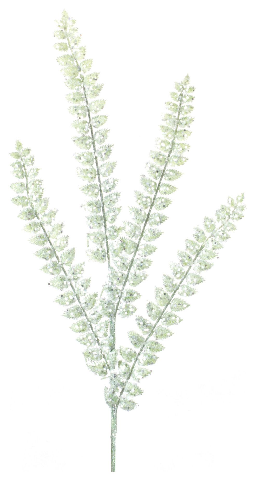 Glittered Fern Spray, Set of 24 - Beach Style - Artificial Plants And ...