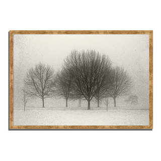 "Fading Memories", Framed Photograph Print, Ready To Hang ...