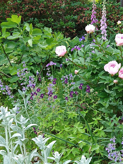 Random Garden Photos