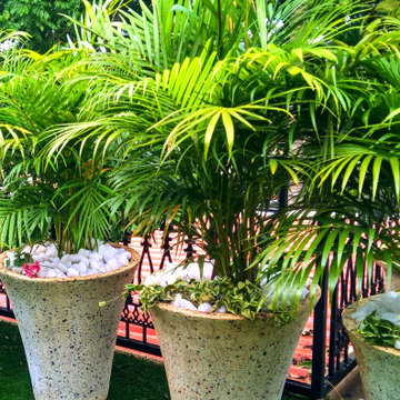 Indian Terrace & Balcony Design Ideas, Inspiration & Images - July 2022 ...