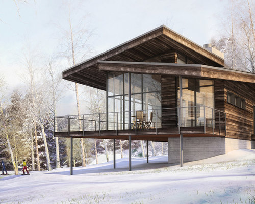 Modern Cabin Home Design, Photos & Decor Ideas