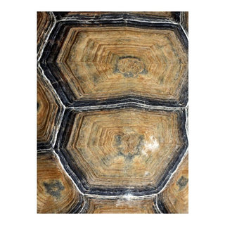 "Carapaced Motif IV" Fine Art Piece, 30"x40" - Contemporary - Paintings ...