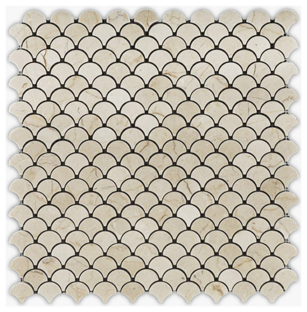 Crema Marfil Polished Fan Shape Marble Mosaic, 12x12 - Beach Style ...