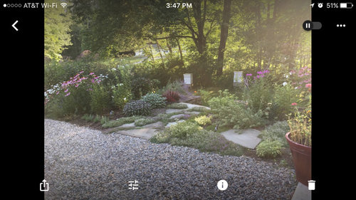 Neighbors gross fence, my weird landscaping aesthetic