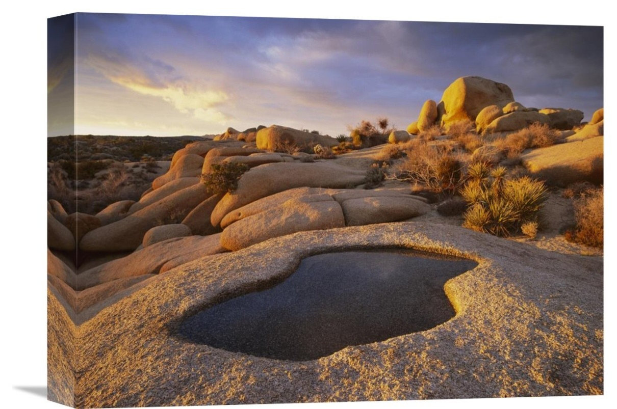 "Water In Boulder, Joshua Tree National Park, California" Artwork, 16 ...
