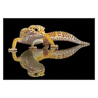 Leopard Gecko, 36"x24" - Contemporary - Prints And Posters - by Global ...
