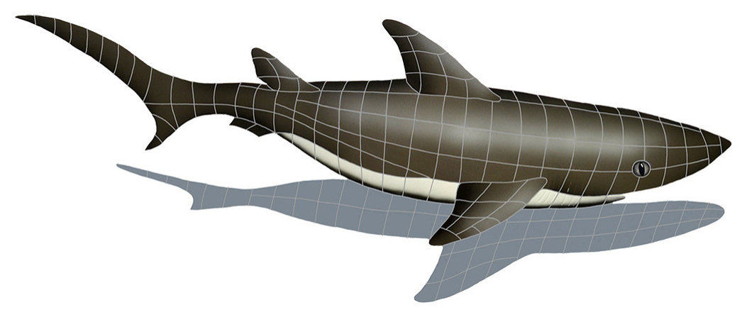 Shark Ceramic Swimming Pool Mosaic - Beach Style - Accent Trim And ...