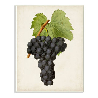 Vintage Fruit Grape Painting, 16"x20", 12x18 - Farmhouse - Prints And ...