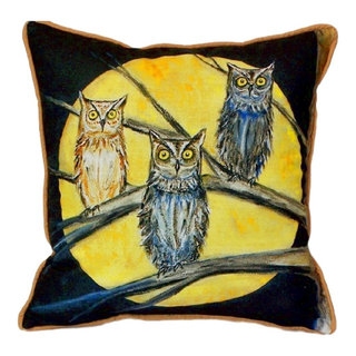 Night Owls Small Indoor/Outdoor Pillow 12x12 - Set of Two, 12 inches x ...