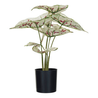 Faux Elephant Ear Plant, Plastic Pot, Natural and Black - Artificial ...