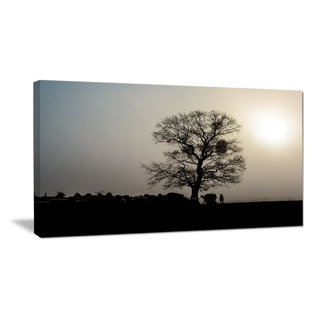 "Frosty Spring Morning Sunrise With Tree" Landscape Wall Artwork, 32 ...