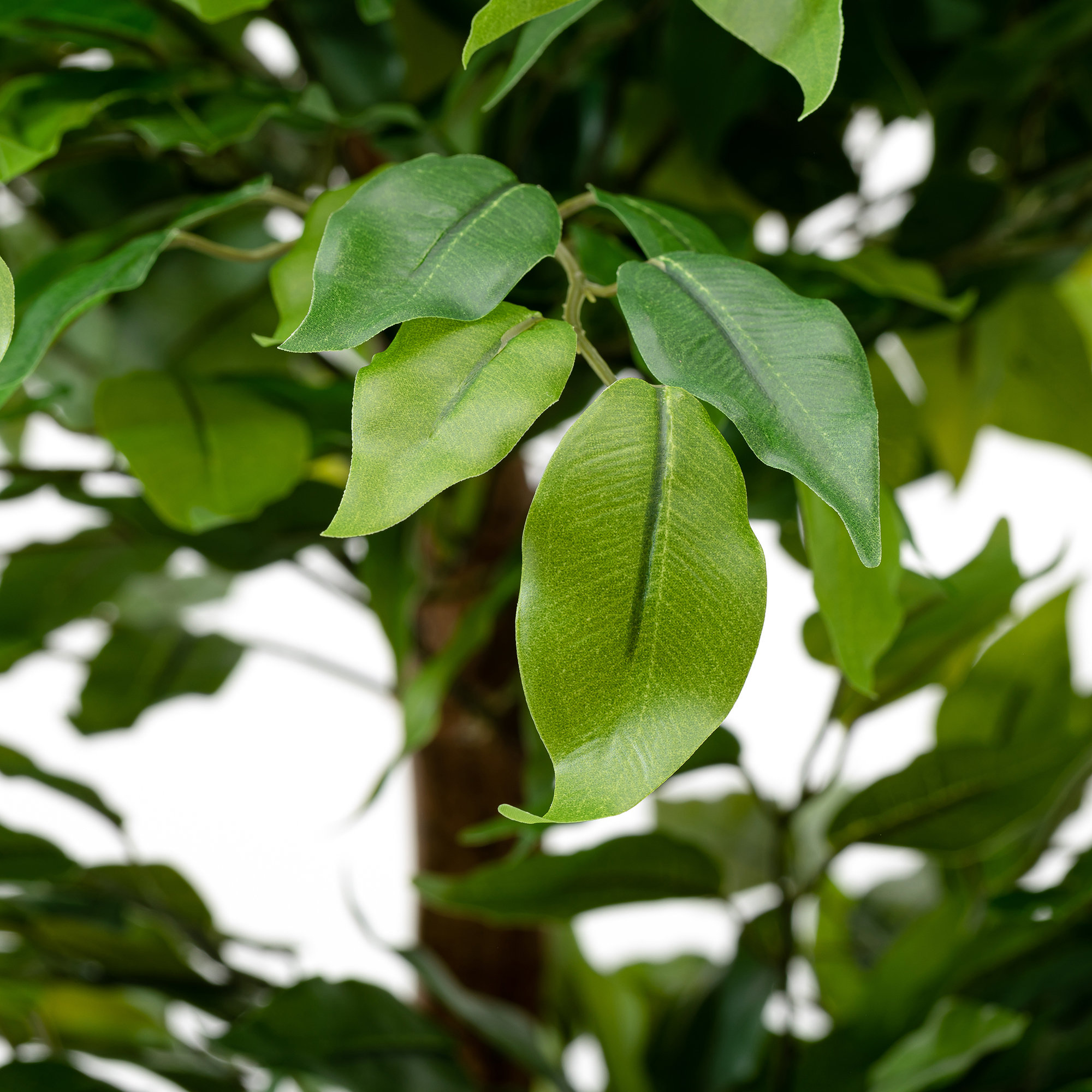 5' Creative Shaped Faux Ficus Tree in Pot - Traditional - Artificial ...