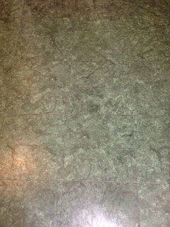 Color scheme with forest green vinyl flooring...