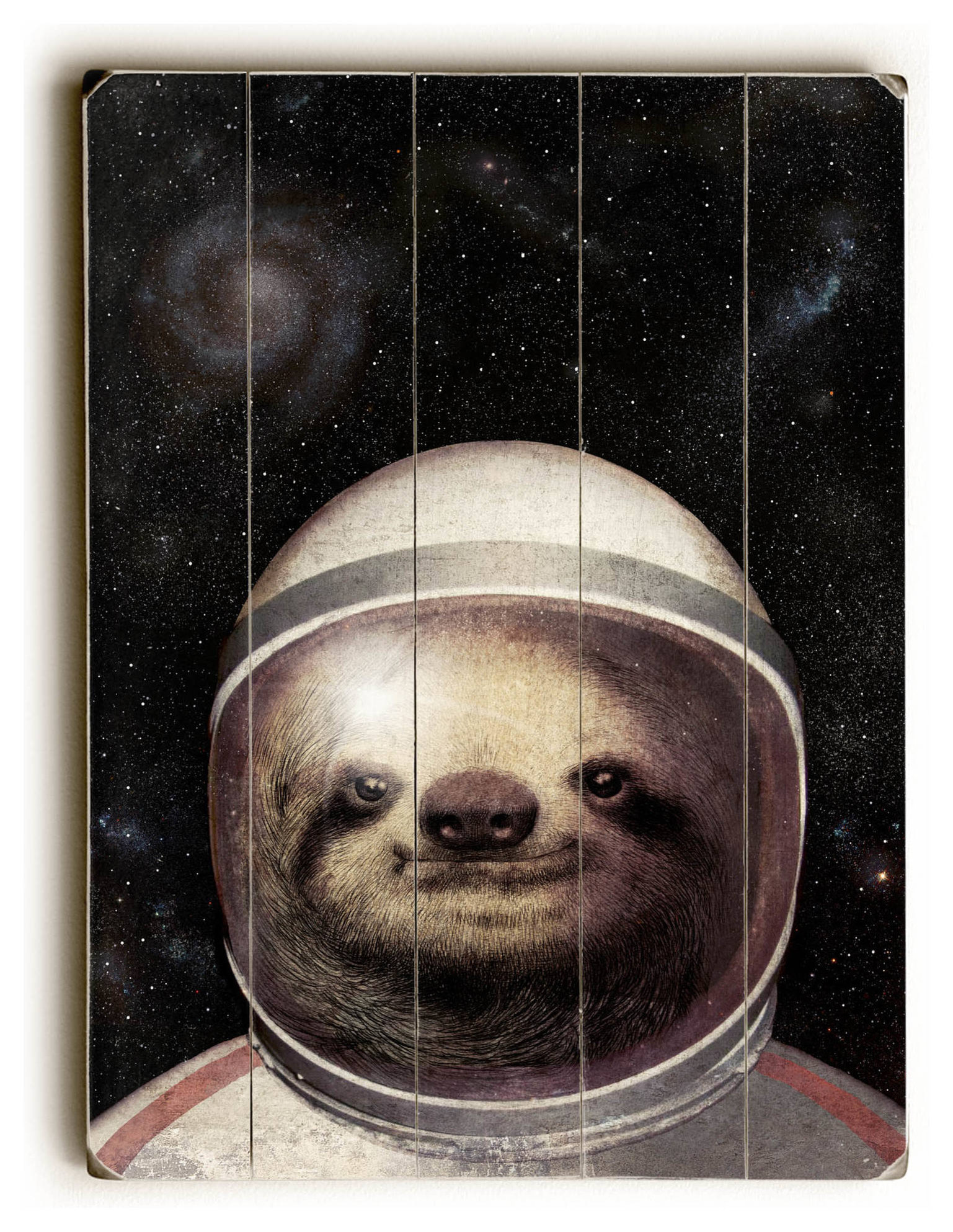 SpaceSloth - Wall Decor by Eric Fan, 25"x34" - Contemporary - Prints ...