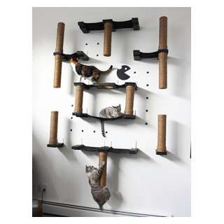 Pacman Cat Complex - Grand Rapids - by CatastrophiCreations | Houzz