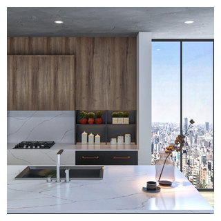 Prima Kitchen Application - Modern - Kitchen - Dallas - by Vicostone ...