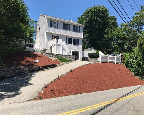 Steep Hillside - English Ivy?