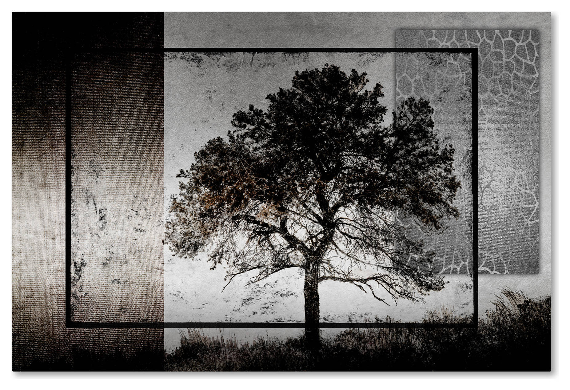 LightBoxJournal 'July Tree' Canvas Art, 12"x 19" - Contemporary ...